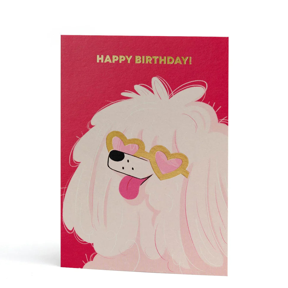 Stormy Knight Floof Birthday Card – Bunka