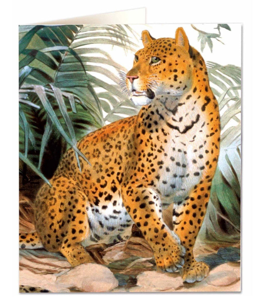 Archivist - Leopard Greetings Card – Bunka